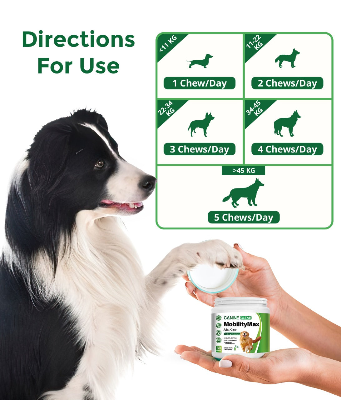 Canine Clear | Increase Mobility for Pets at Home